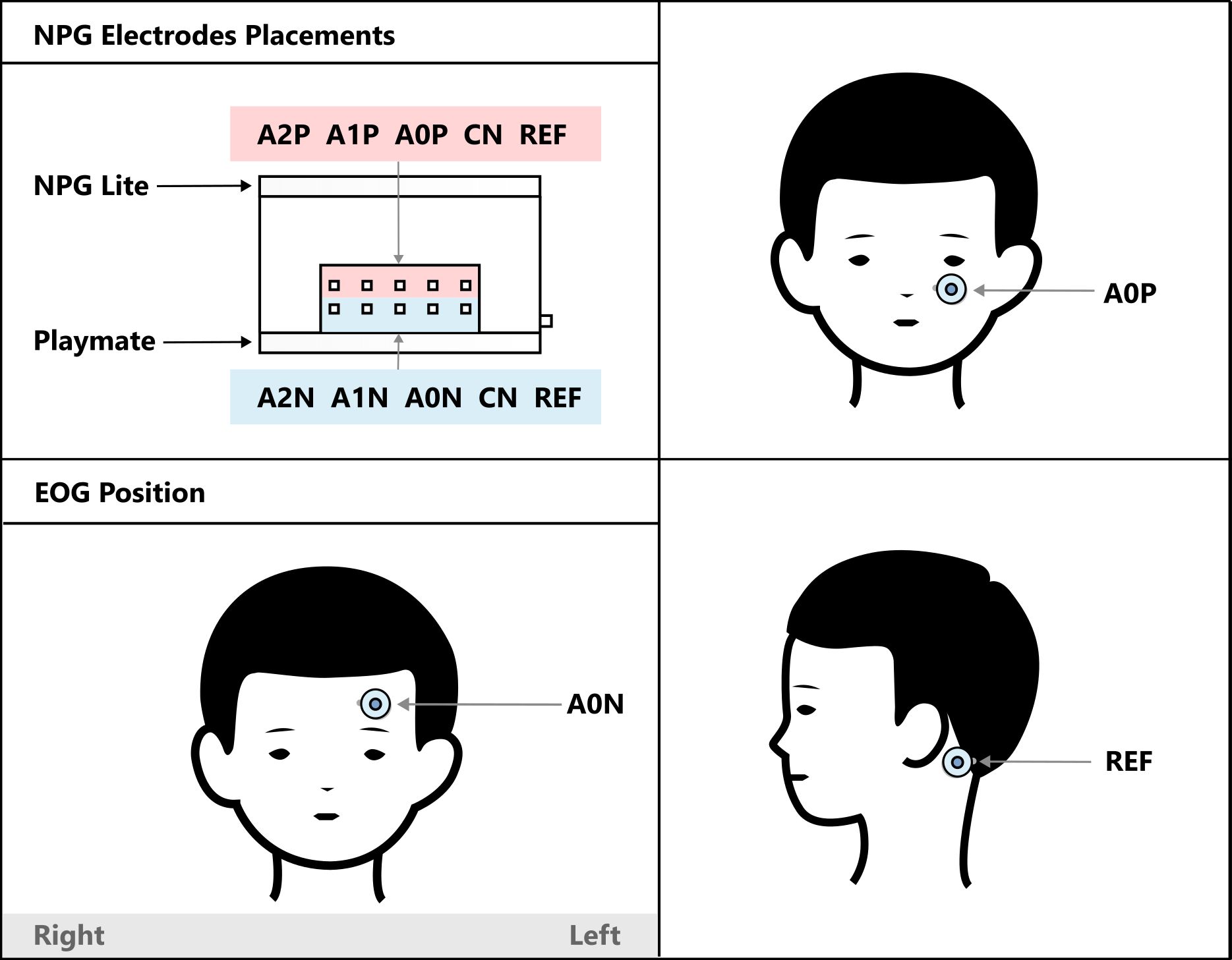Neuro PlayGround Lite - Exploring HCI & BCI with NeuroPlayGround Lite ...