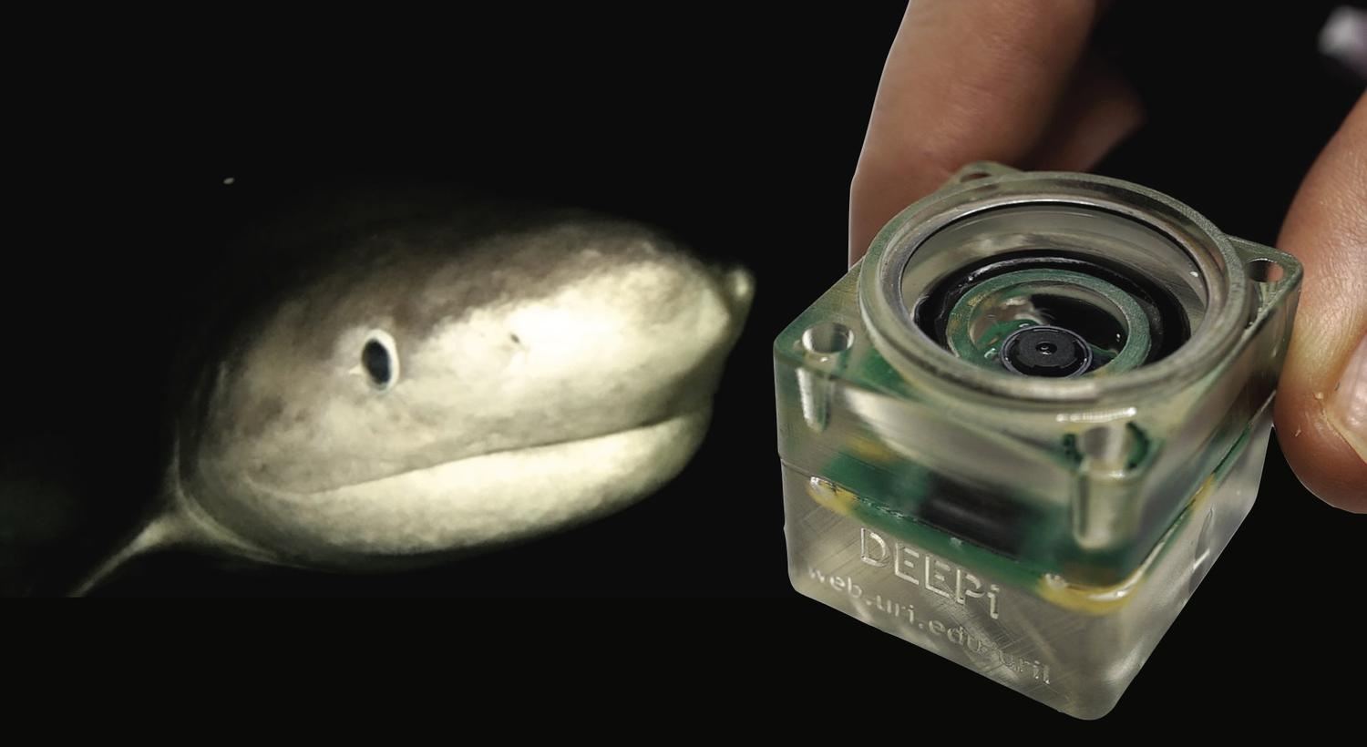 StereoPi - Filming sharks and using StereoPi as USB device