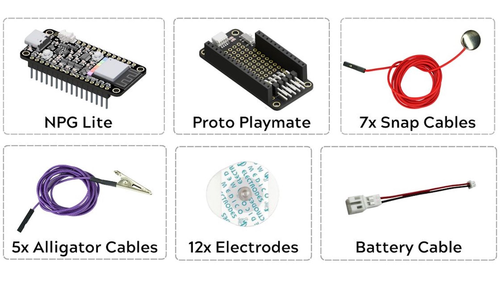 Neuro PlayGround Lite | Crowd Supply