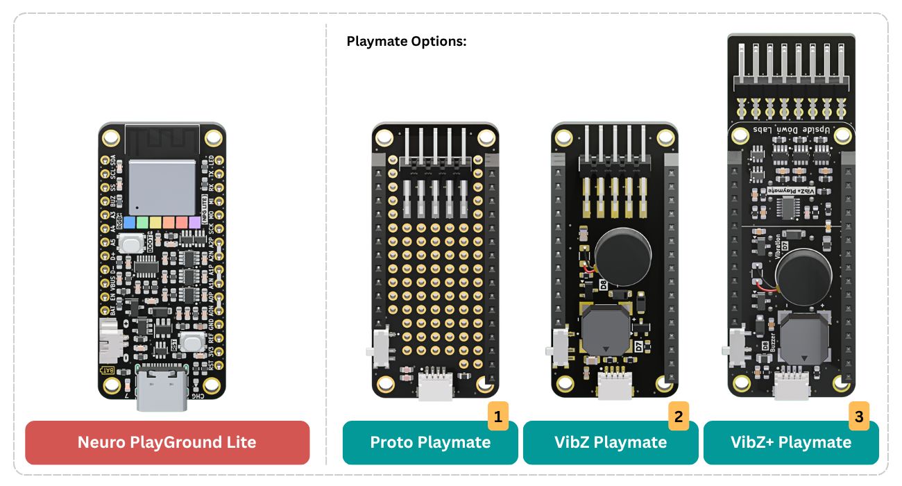 Neuro PlayGround Lite | Crowd Supply