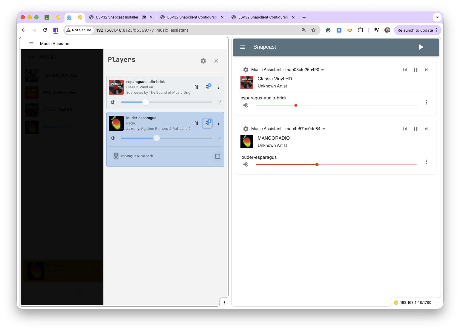Esparagus Audio Brick - Working With Snapclient | Crowd Supply