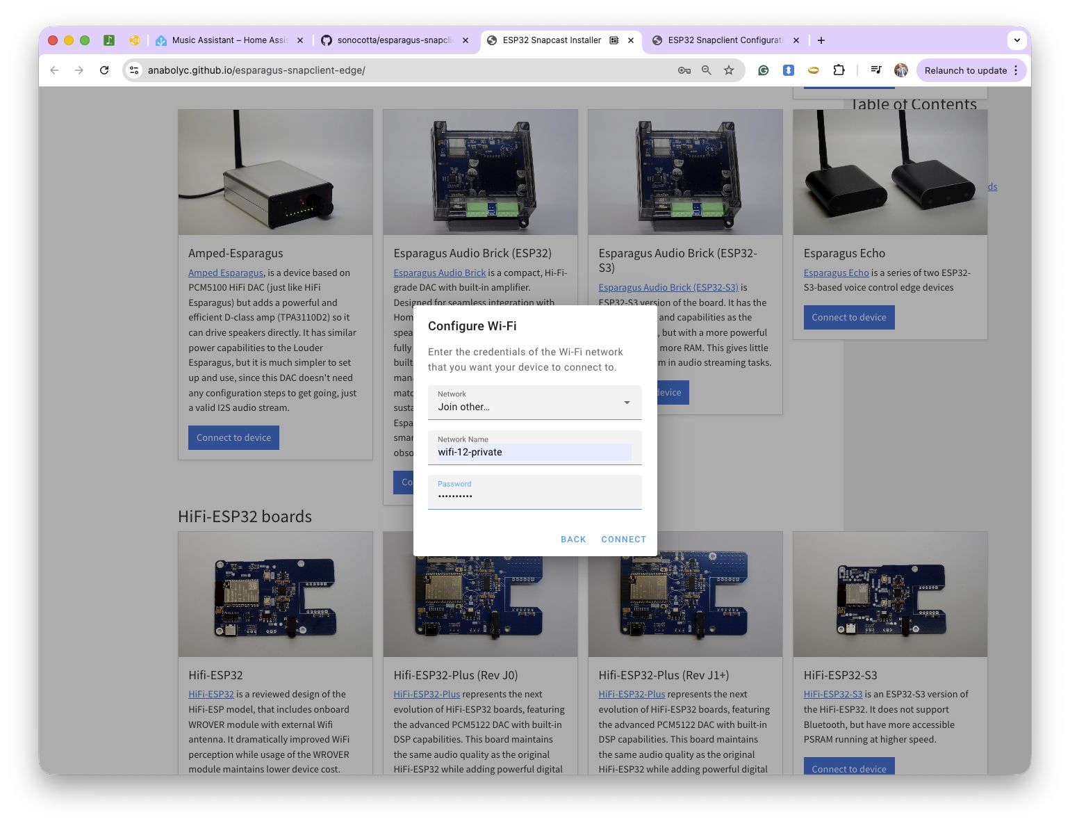 Esparagus Audio Brick - Working With Snapclient | Crowd Supply